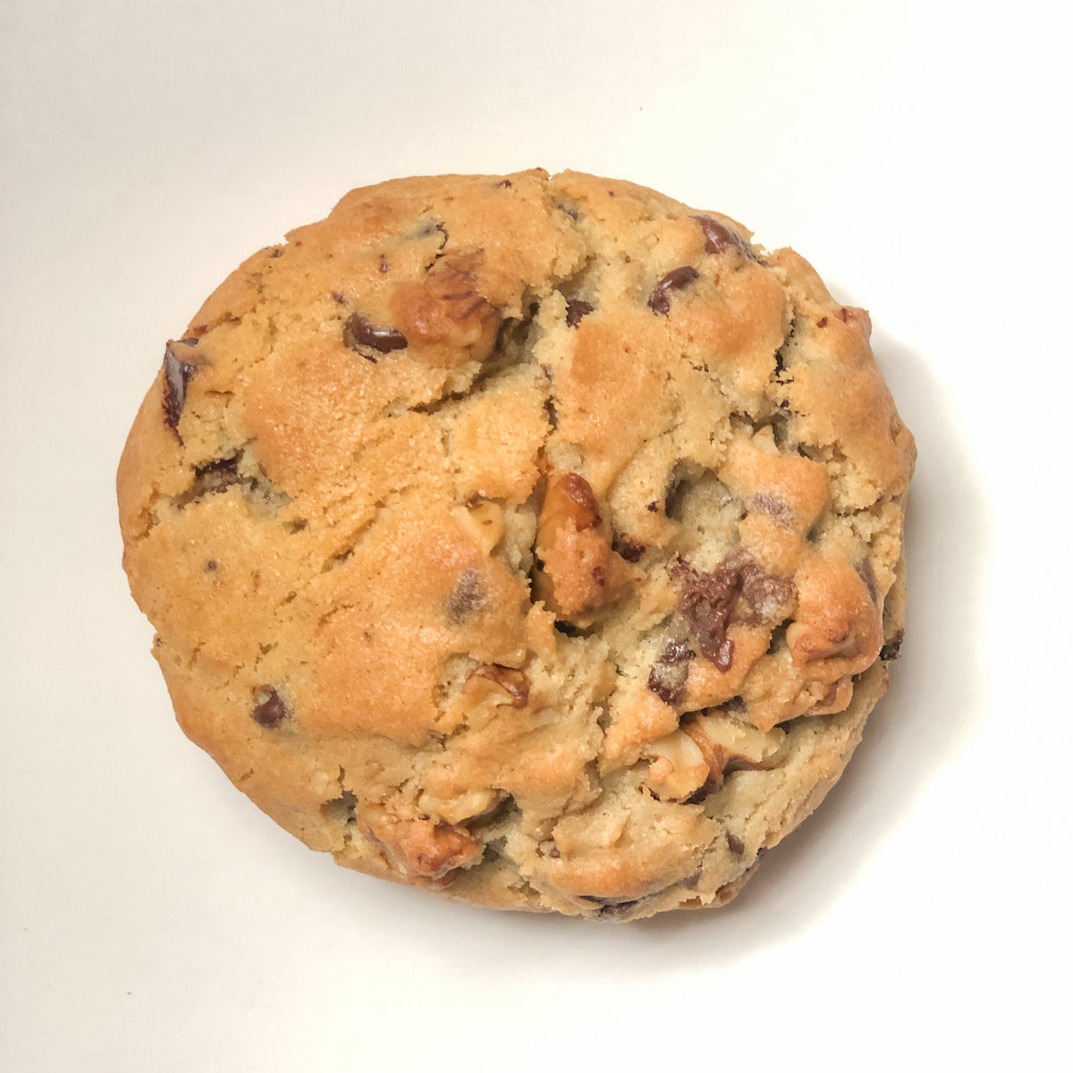 Chocolate Chip Walnut Cookie | Ship Now | Basic Batches Bakery